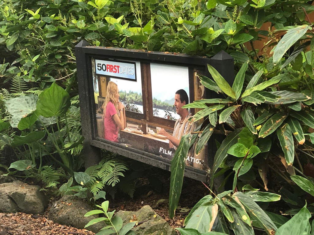 50 First Dates (2004) | Film Oblivion