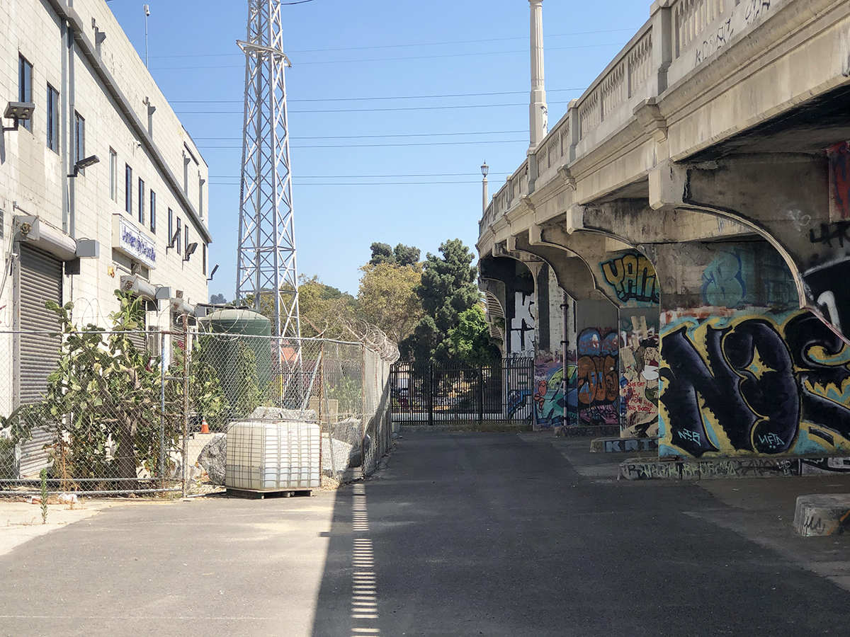 They Live (1988) | Film Oblivion