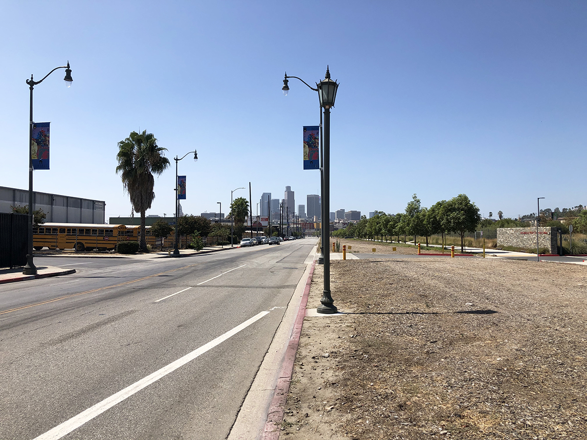 They Live (1988) | Film Oblivion