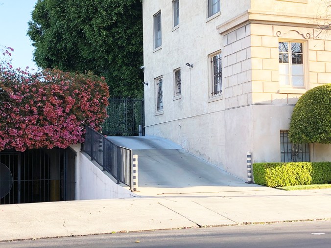 Monkey Trouble (1994) | Film Oblivion