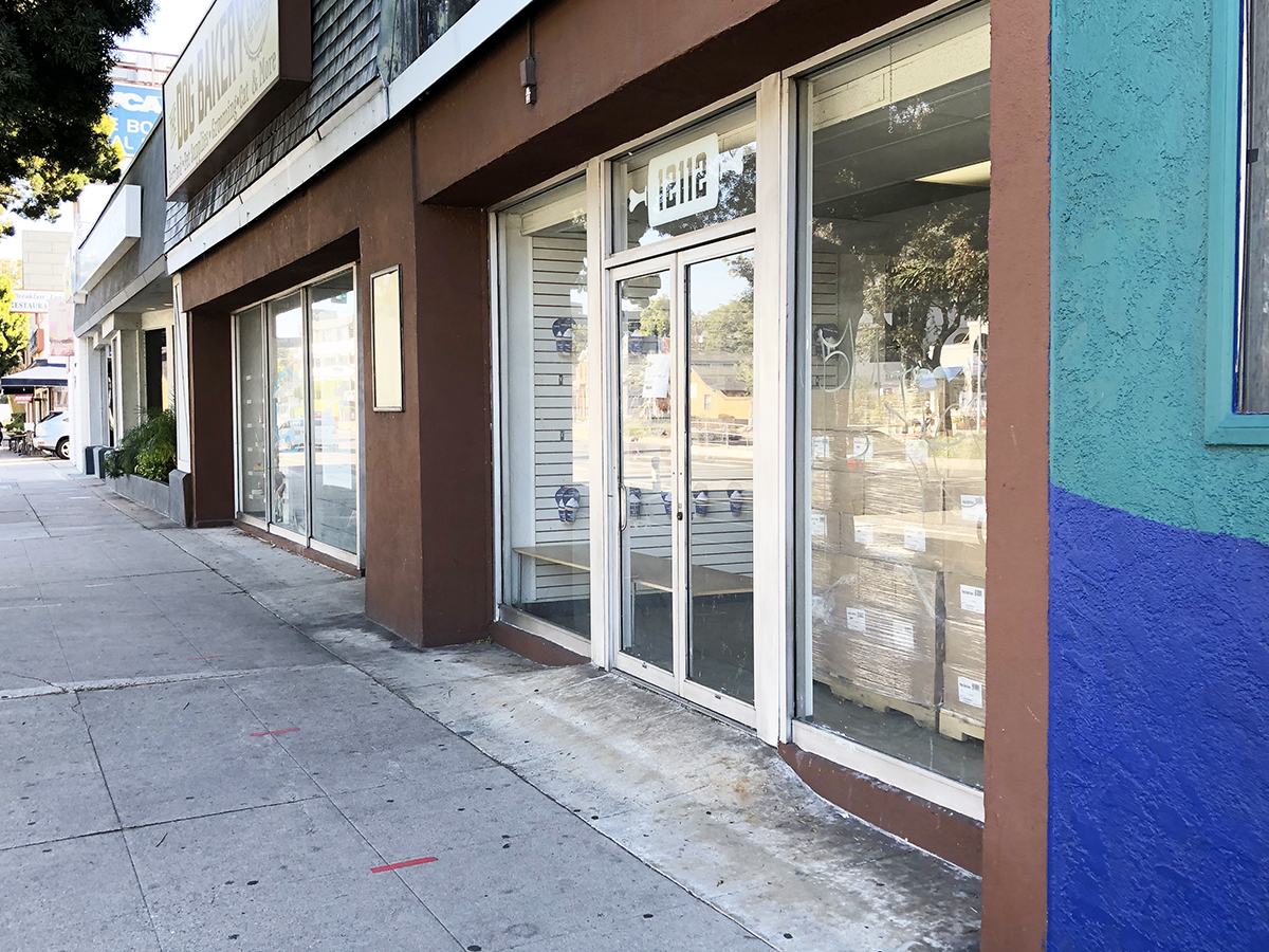 Monkey Trouble (1994) | Film Oblivion